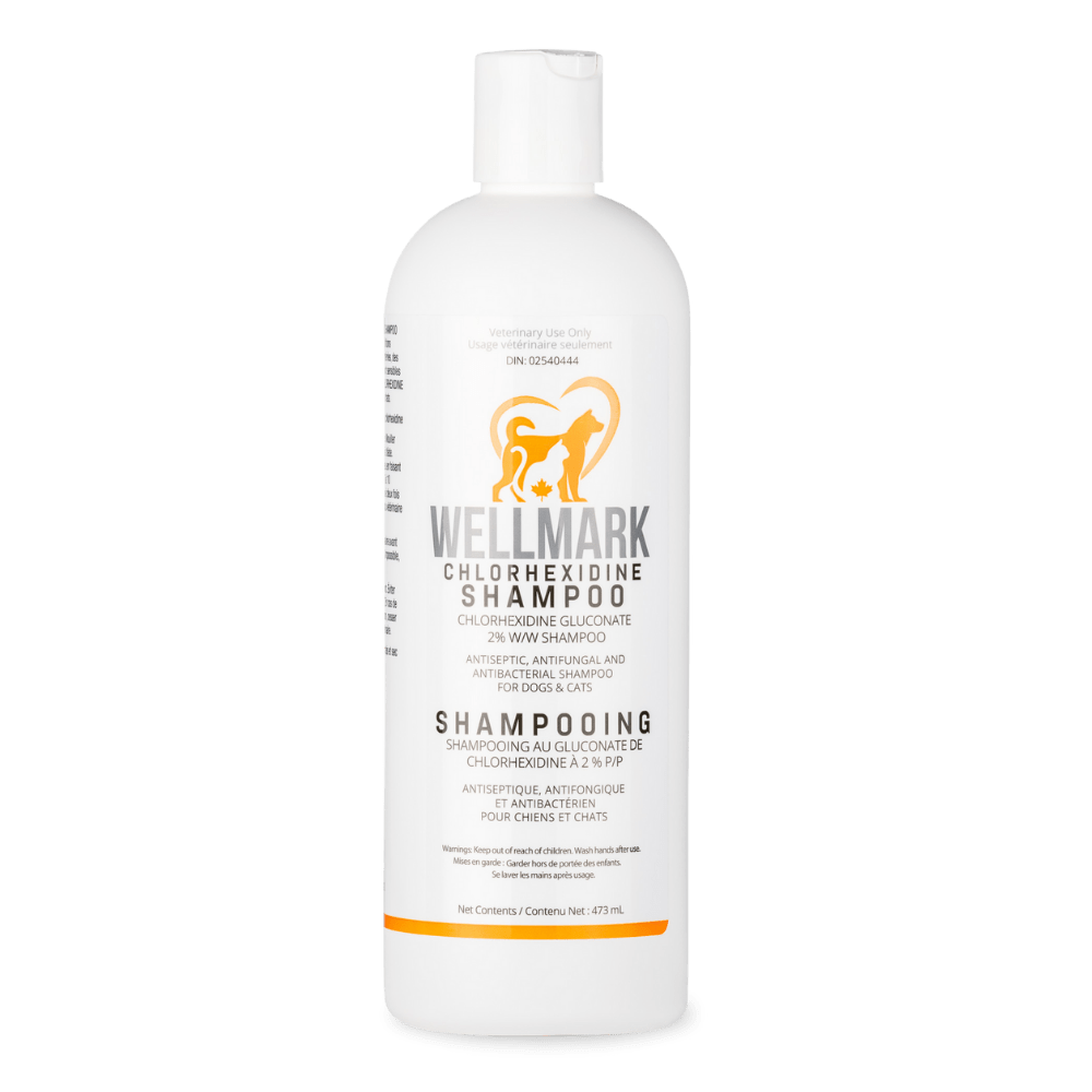 Chlorhexidine Shampoo for Skin Infections - Dogs & Cats - Wellmark ...