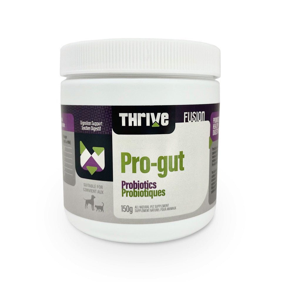 Pro-Gut Probiotics Fusion - Dog & Cat Supplements - Thrive – PetToba