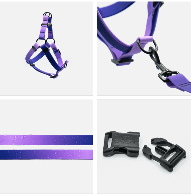 Woof Concept Harness Aqua Empress - Woof Concept – PetToba