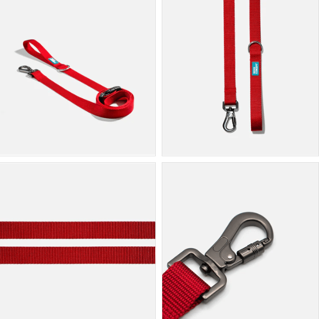 Woof Concept Leash Basics Rogue 2 - Woof Concept – PetToba